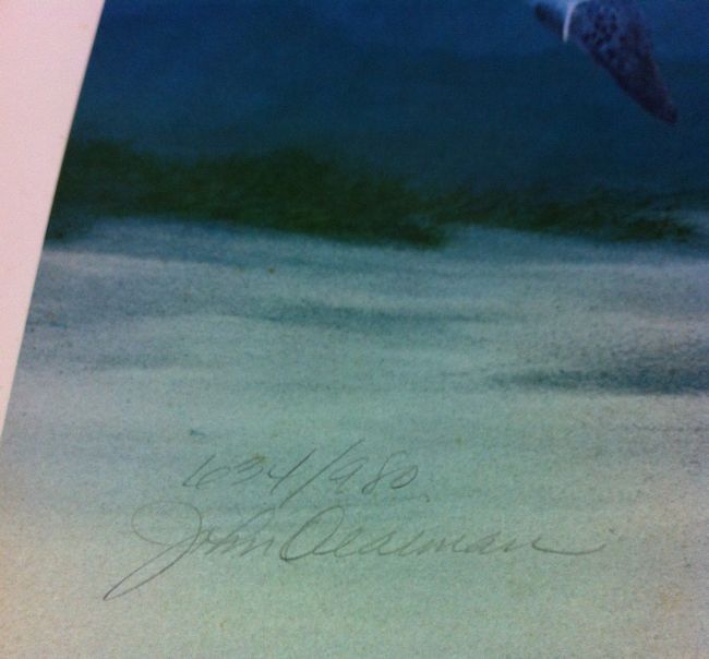Rescued John Dearman prints | 2 Cool Fishing Forum