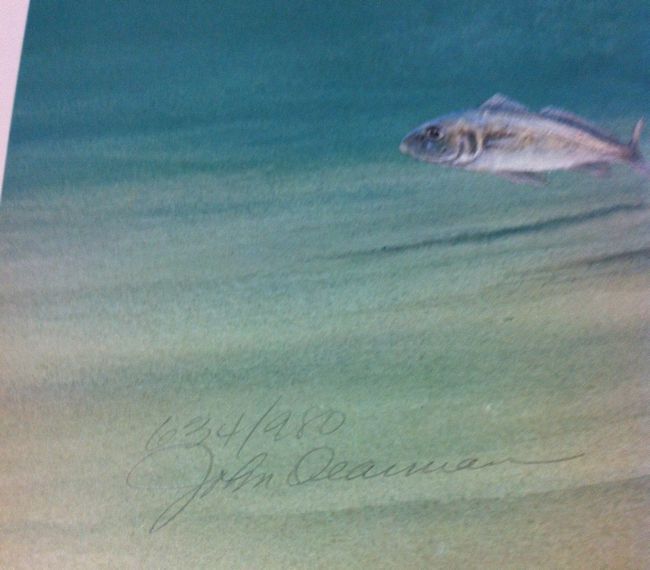 Rescued John Dearman prints | 2 Cool Fishing Forum