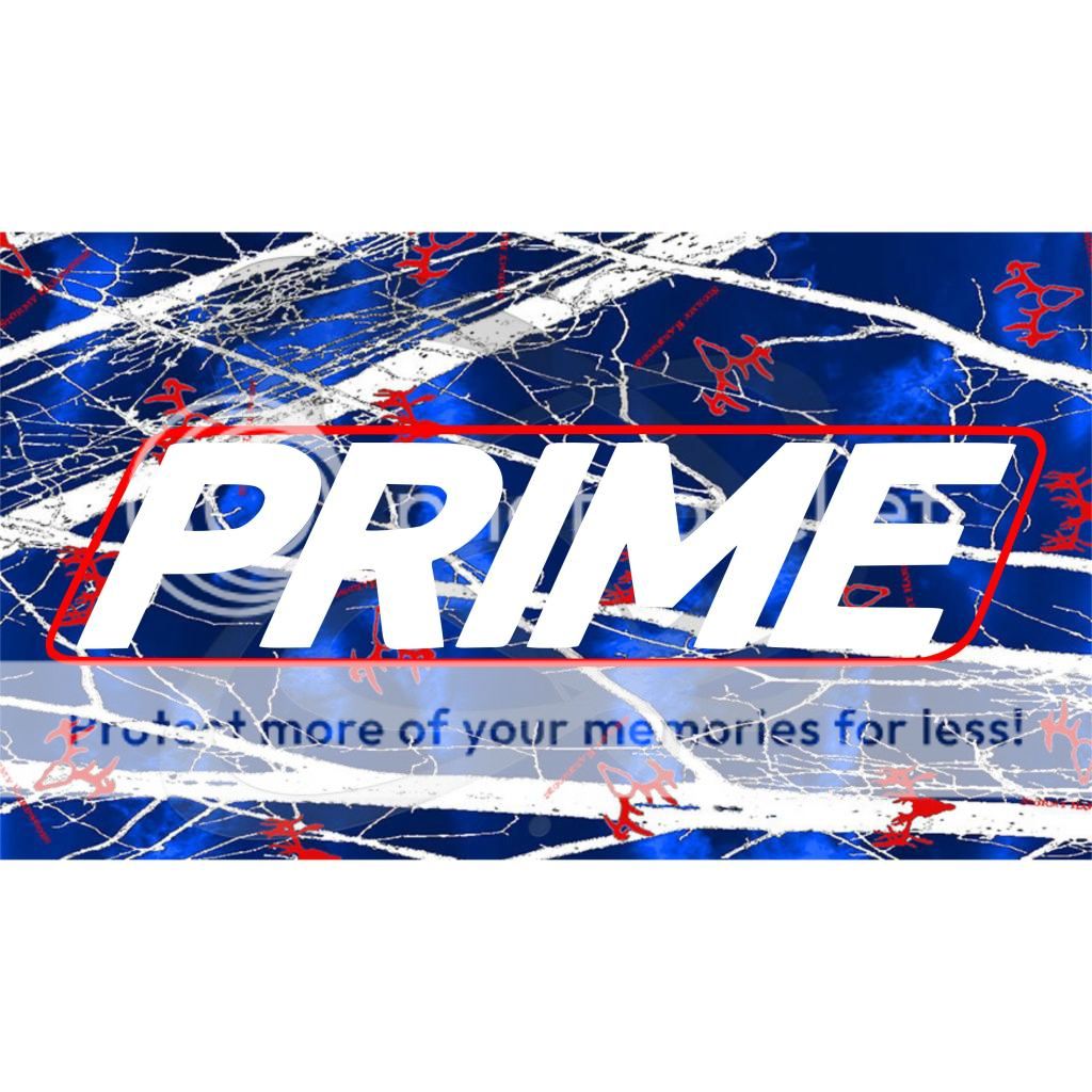prime limb decals | Archery Talk Forum
